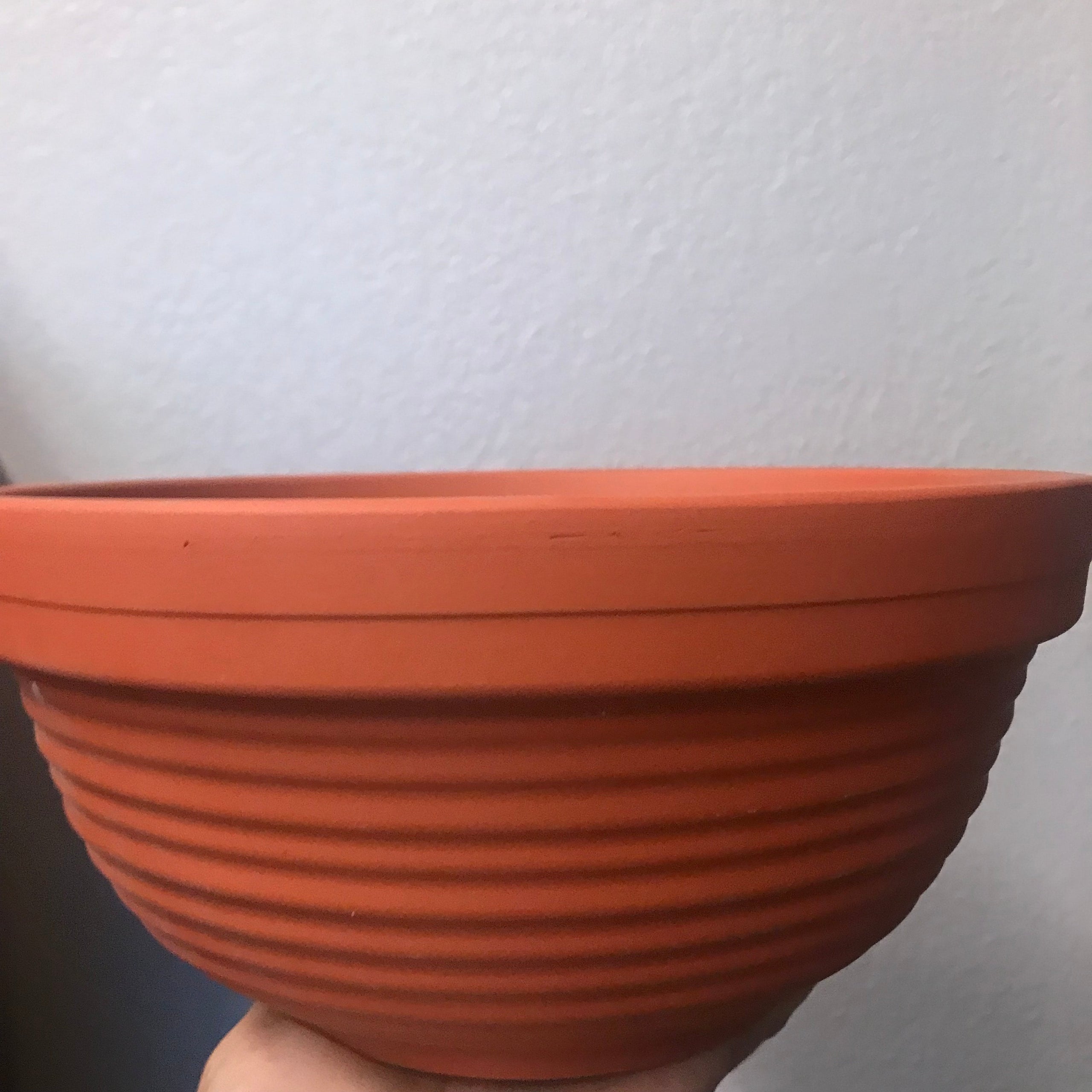 Beveled Terra cotta bowl 2 sizes | Grow Wild Greenery